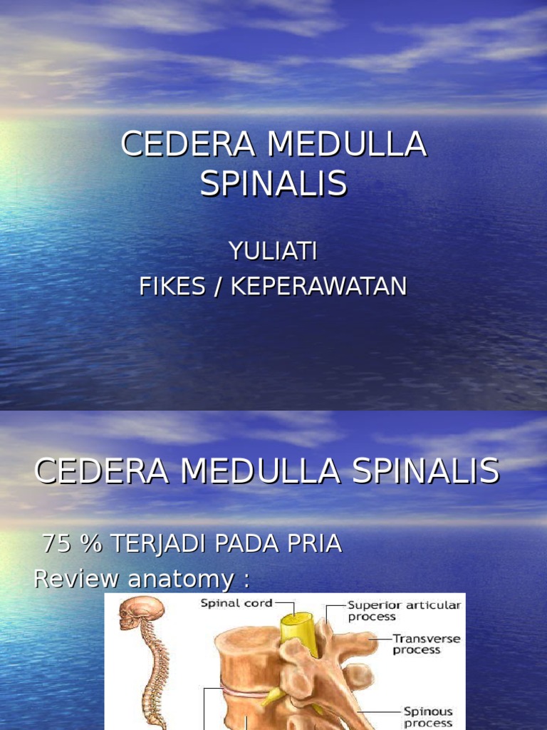 Cedera Medulla Spinalis | PDF | Spinal Cord Injury | Vertebral Column