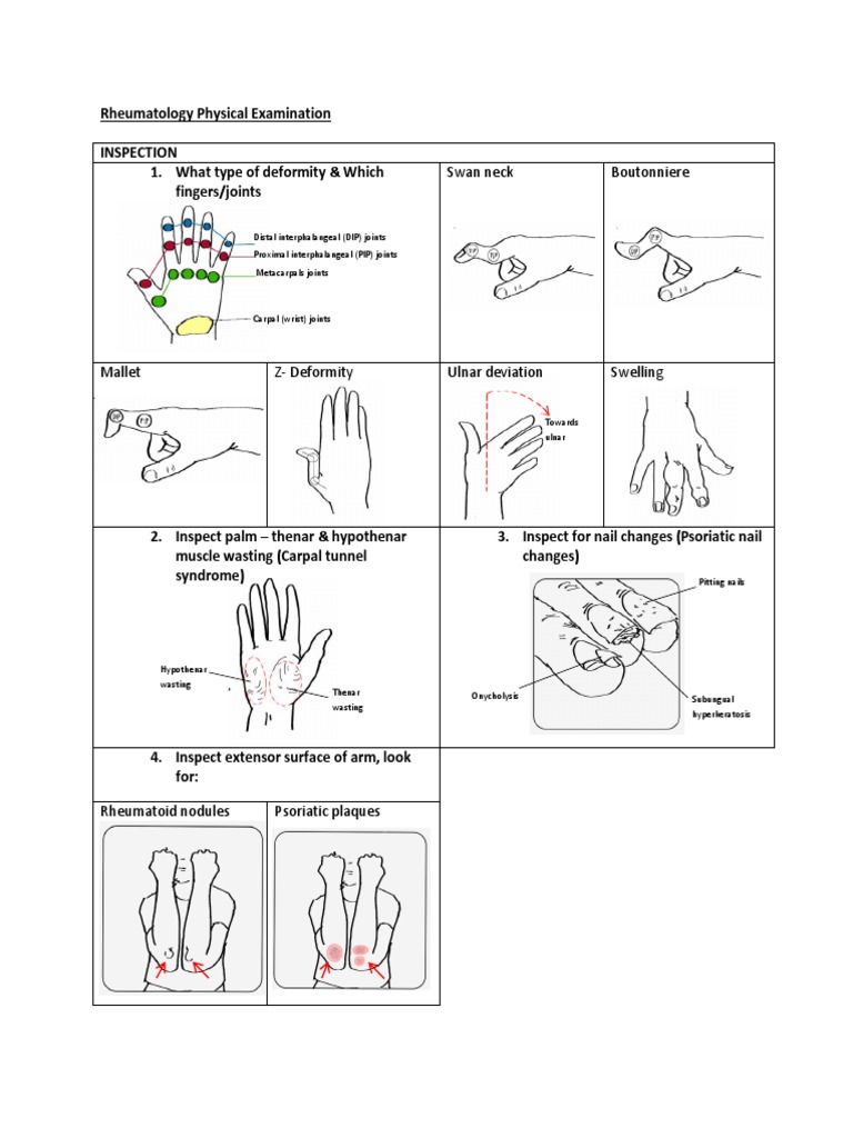 Rheumatology Physical Exam Guide | PDF | Finger | Hand