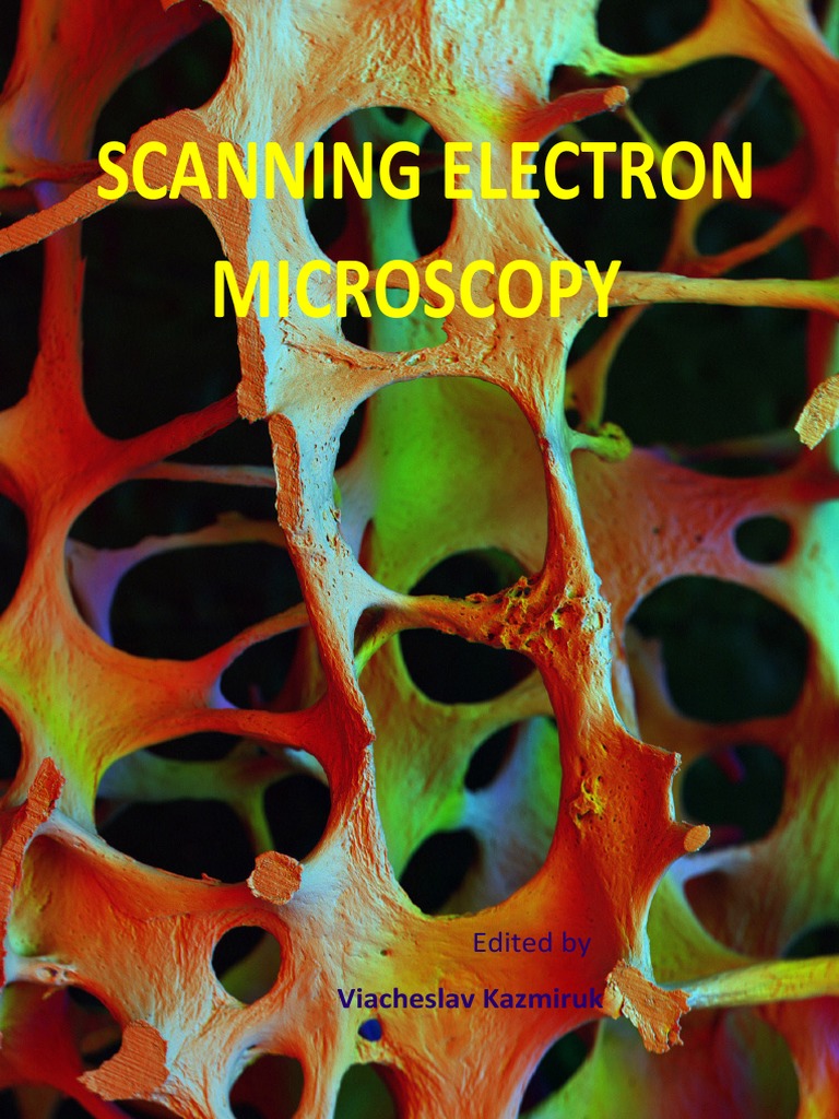 Scanning Electron Microscope | PDF | Scanning Electron Microscope ...