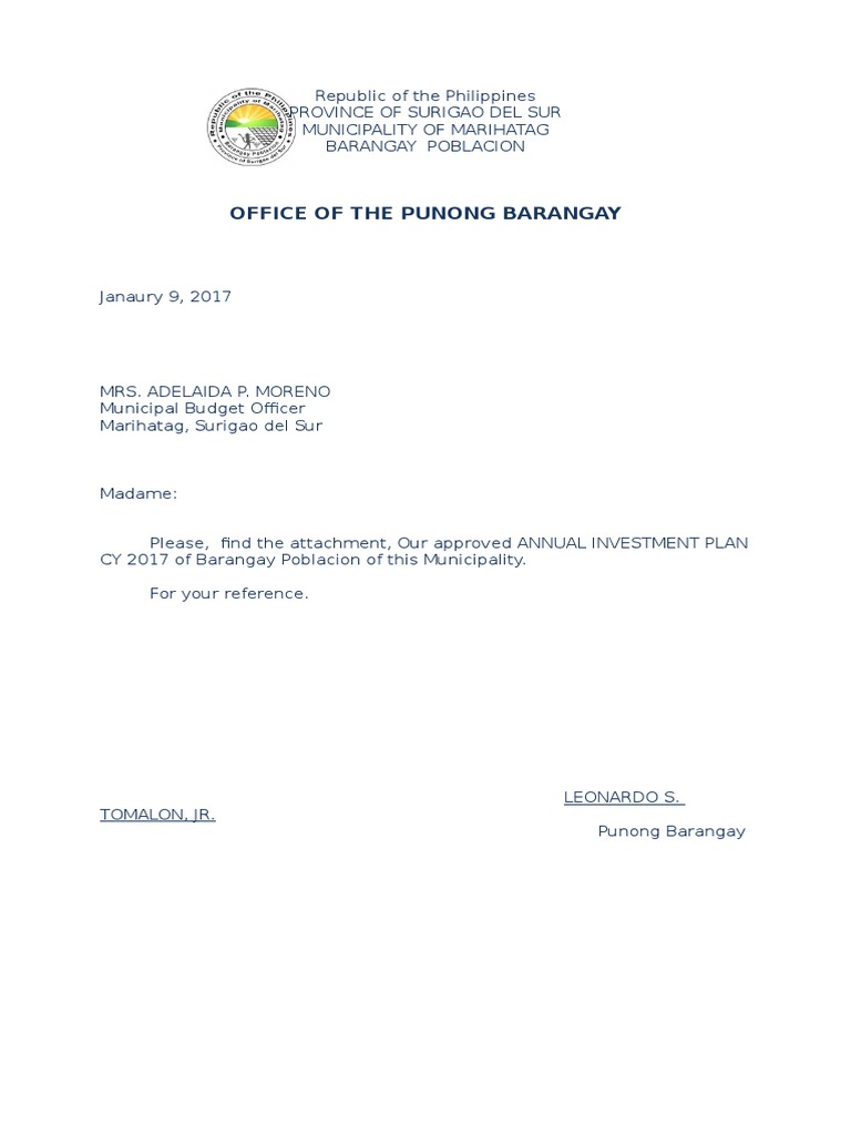 Barangay Poblacion AIP 2017 | Philippines | Business