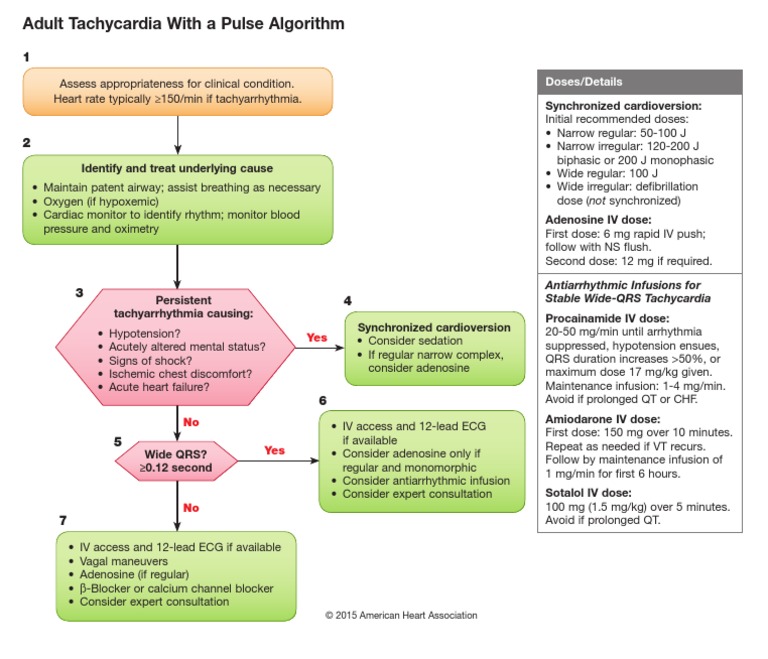 2010 Integrated Updated Circulation ACLS Tachycardia Algorithm | PDF ...