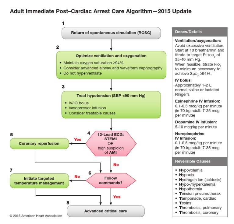 Adult Immediate Post Cardiac Arrest Care Algorithm 2015 Update | PDF ...