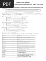 Anatomical Position Worksheet | PDF | Anatomical Terms Of Location ...
