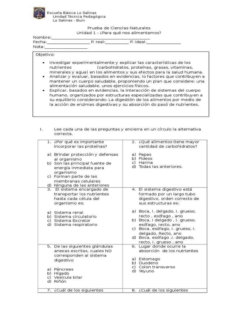 Prueba de Ciencias Naturales 8vo | PDF | Sistema digestivo humano ... Prueba de Ciencias Naturales 8vo | PDF | Sistema digestivo humano ...