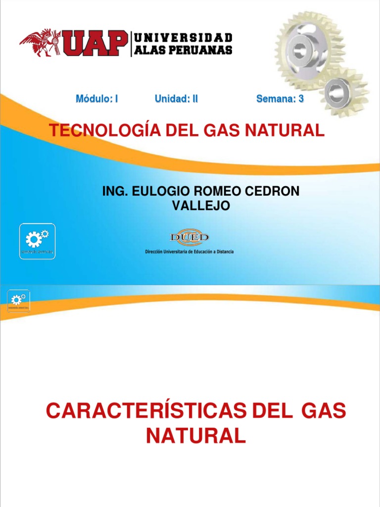 Características y Aplicaciones del Gas Natural | PDF | Gas natural | Hierro
