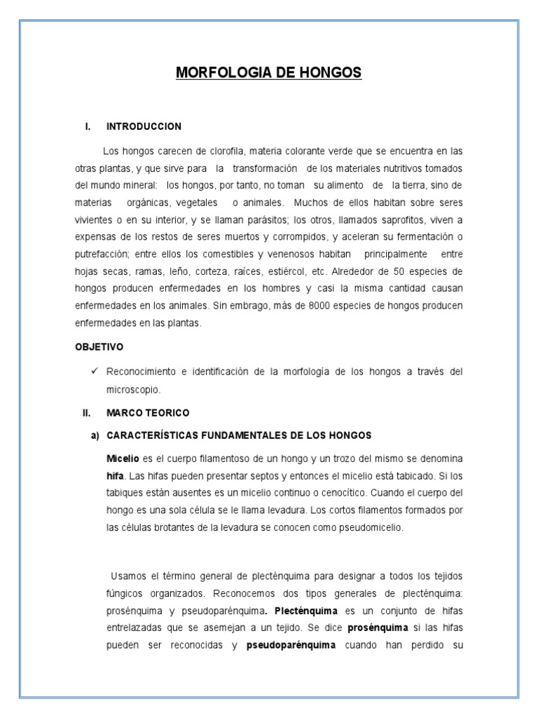 Morfología de los Hongos y Estructuras | PDF | Espora | Hongo