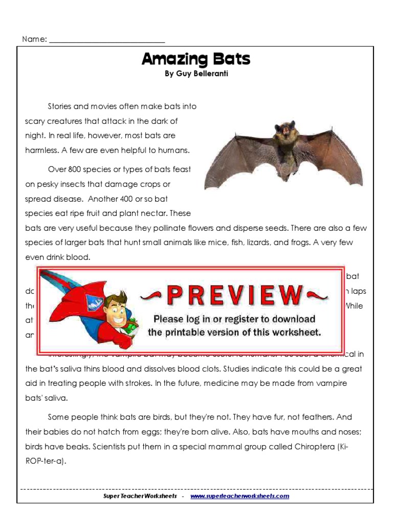 5th Bats | PDF | Bat | Zoology