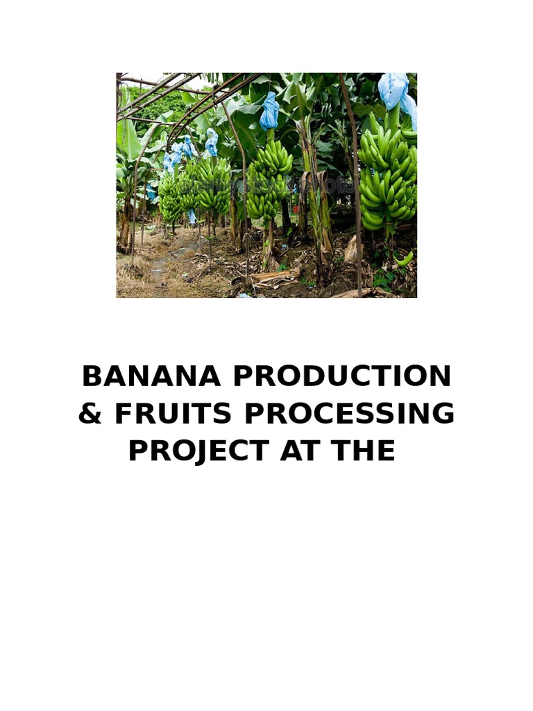 Banana Production & Fruits Processing Project at The | PDF