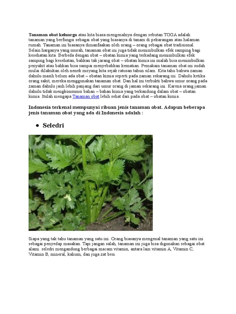 List Tanaman Toga | PDF