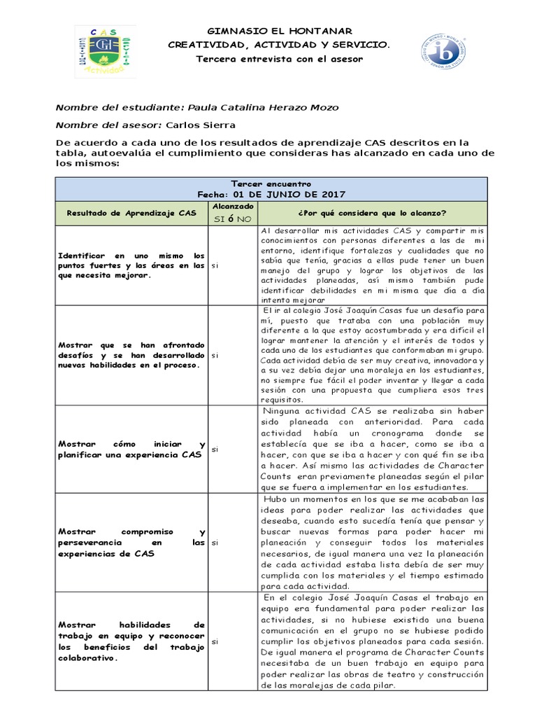 Tercera Entrevista Con El Asesor (Cierre de CAS) | PDF | Creatividad | Toma de decisiones