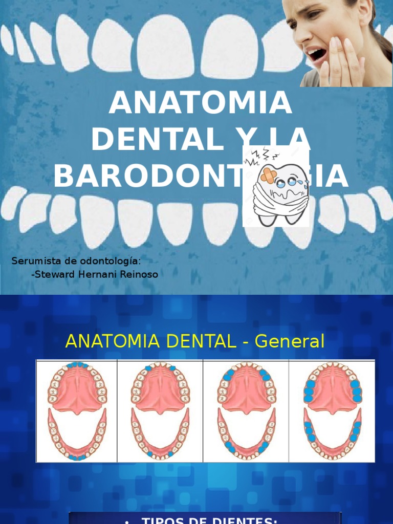 Anatomía Dental y Barodontalgia | PDF