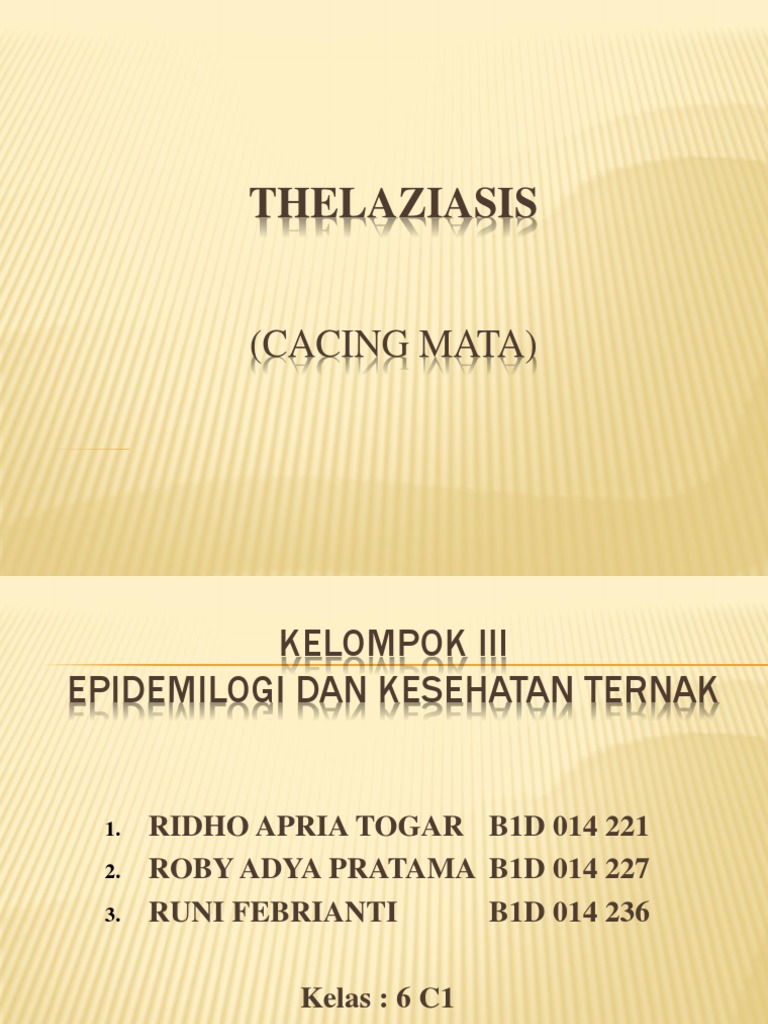 Thelaziasis (Cacing Mata) | PDF