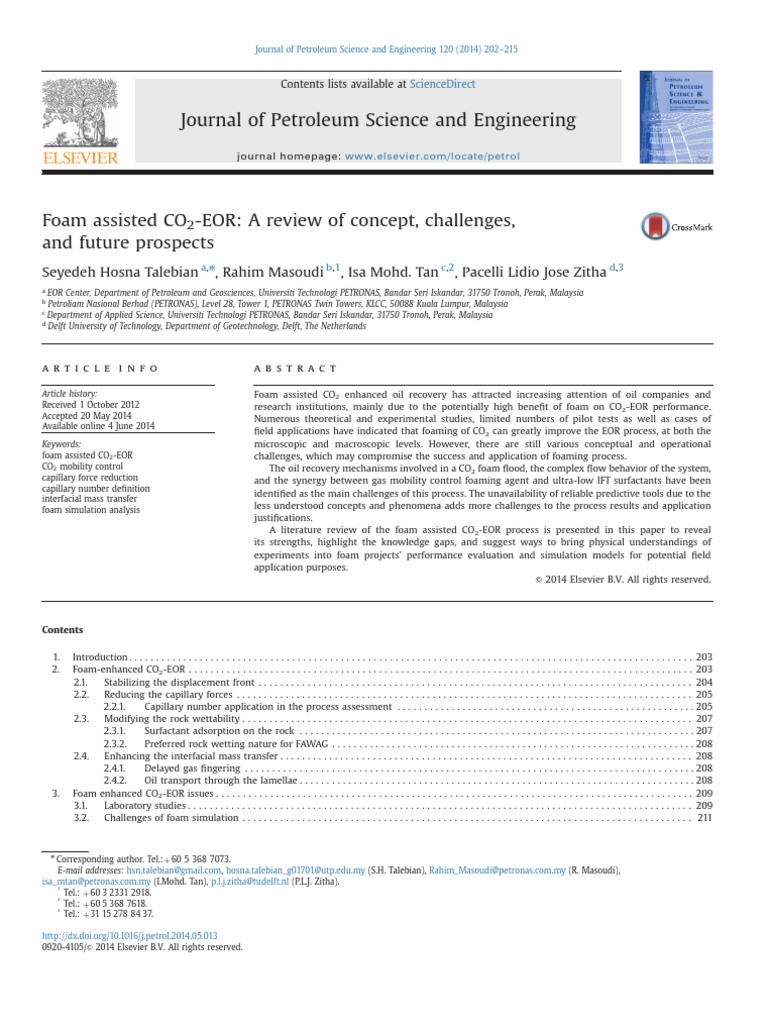 Foam Assisted CO2-EOR | PDF | Foam | Wetting