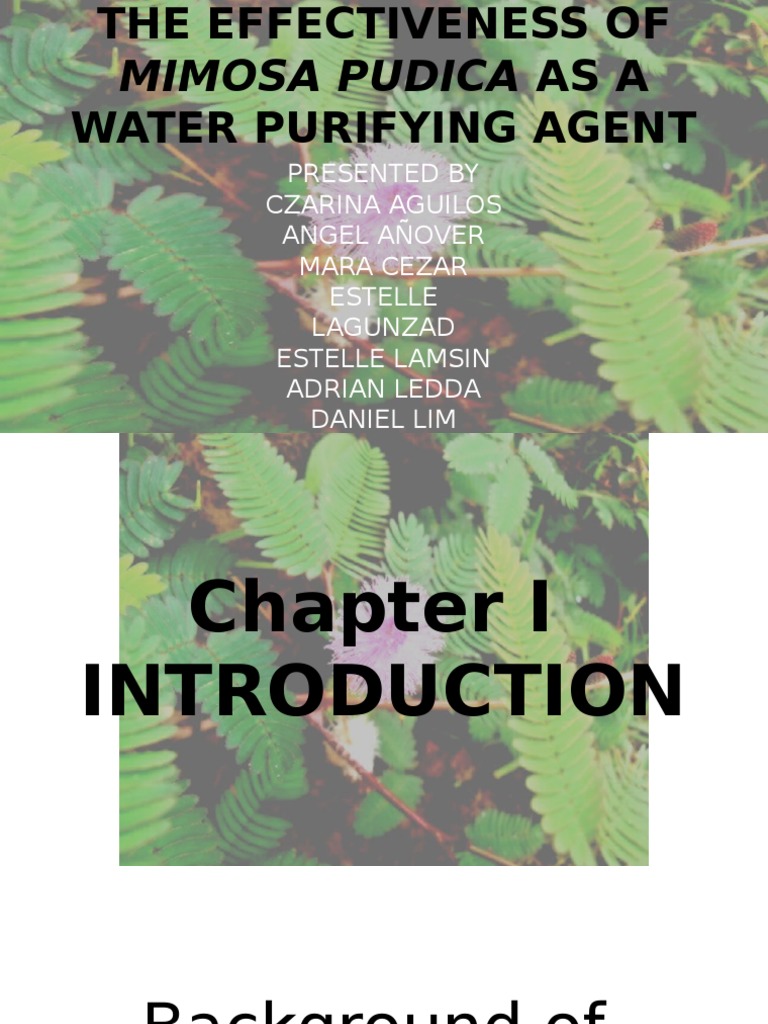 Research Proposal | PDF | Water Purification | Drinking Water