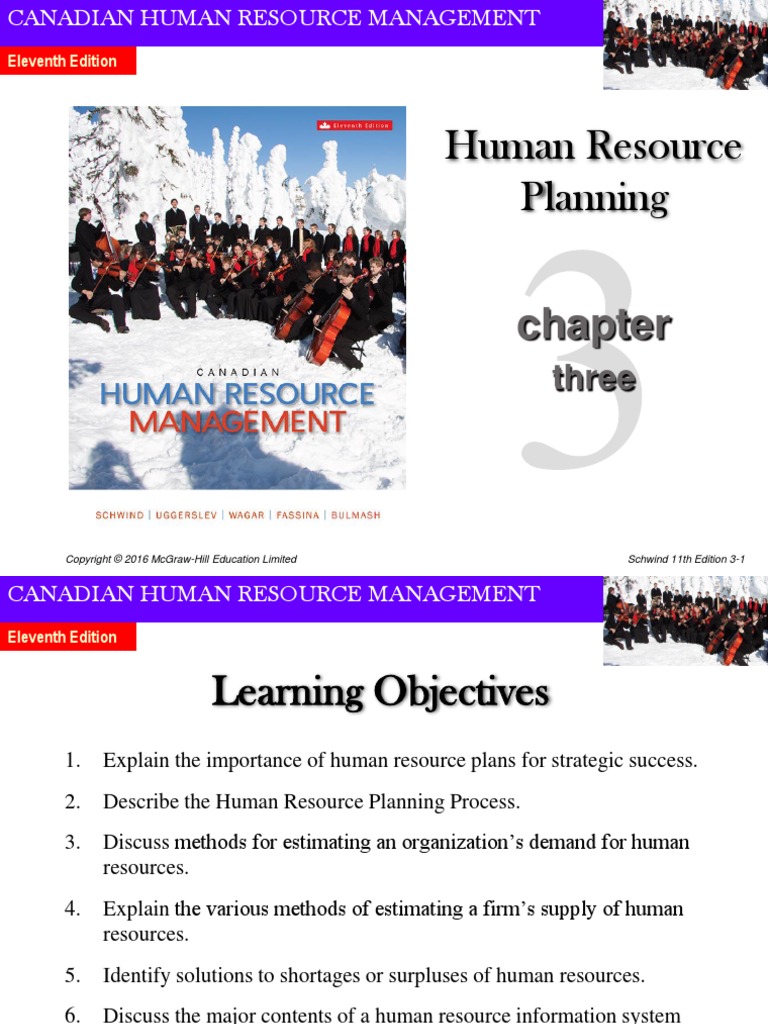 Schwind11e PPT ch03 | PDF | Human Resource Management | Temporary Work