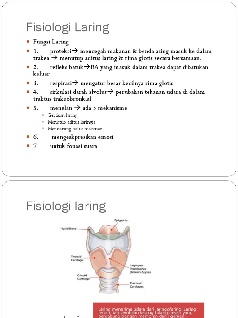 Fisiologi Laring | PDF