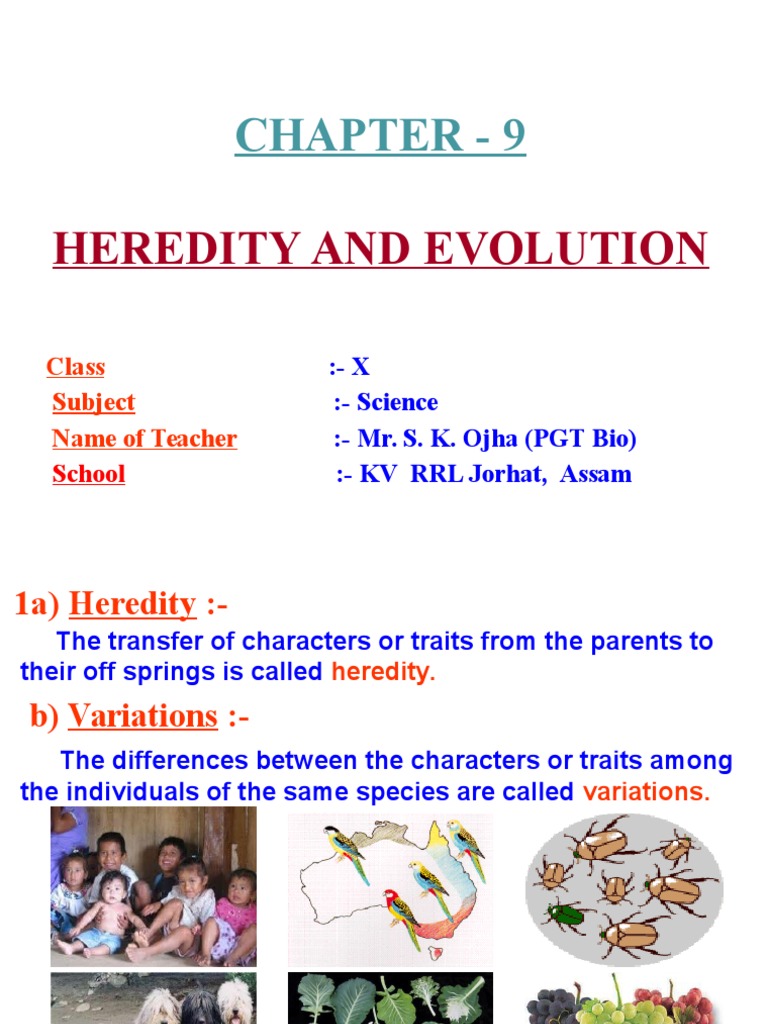 Heredity and Evolution | Heredity | Genetic Variation