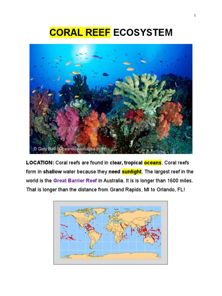 Assignments - Lesson Plan - Coral Reef Article With Resourcesdocx ...
