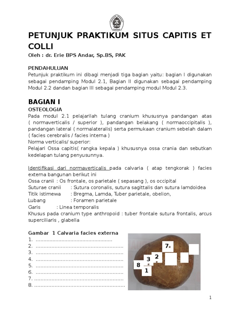 Petunjuk Praktikum Situs Capitis Et Colli | PDF