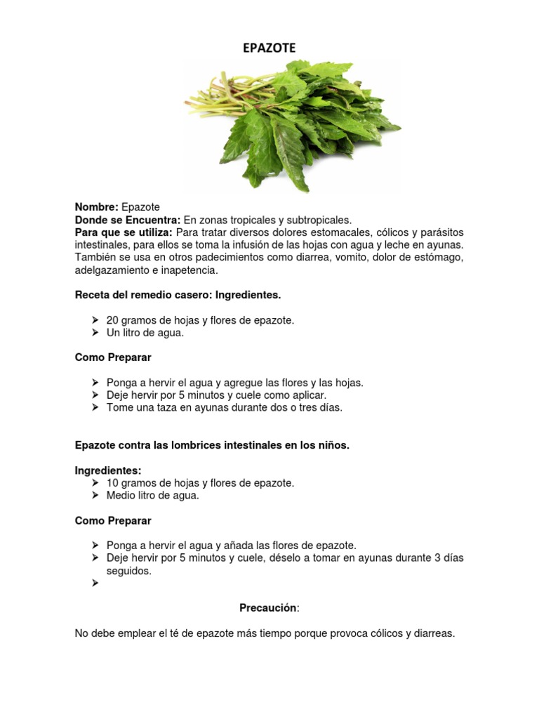 Remedio Casero Con Epazote | PDF | Cocina, comidas y vino | Salud y bienestar