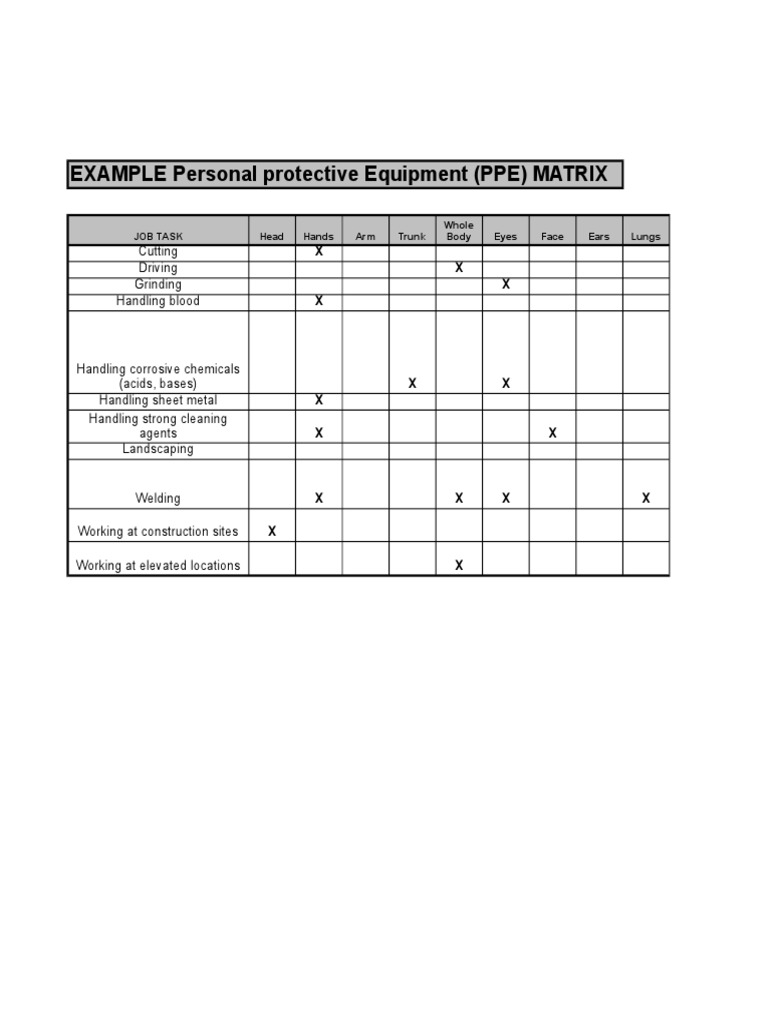 #9 - Ex 1 - PPE Matrix Example | PDF