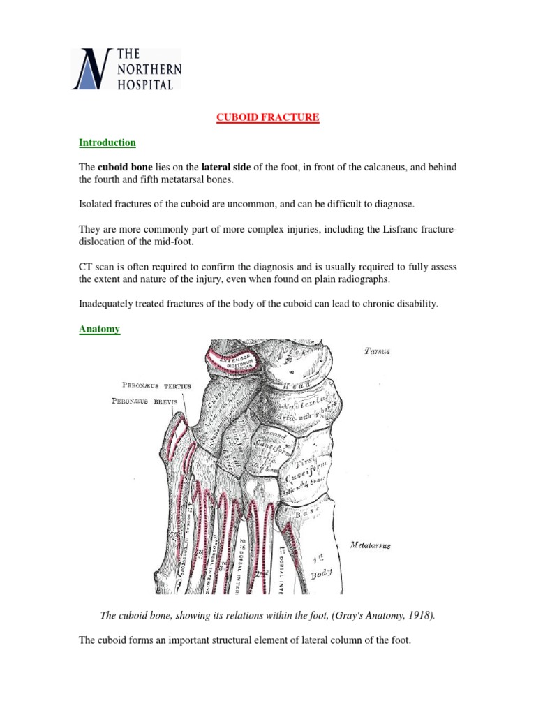 Cuboid Fracture | Foot | Musculoskeletal System