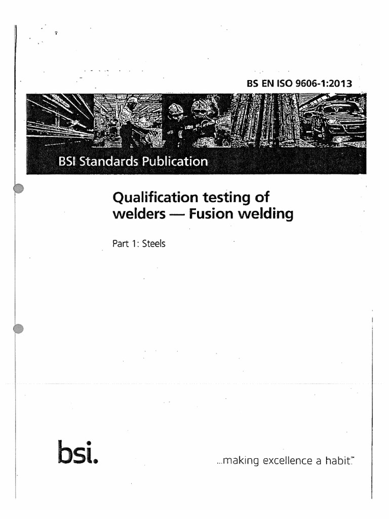 Iso 9606-1 PDF | PDF