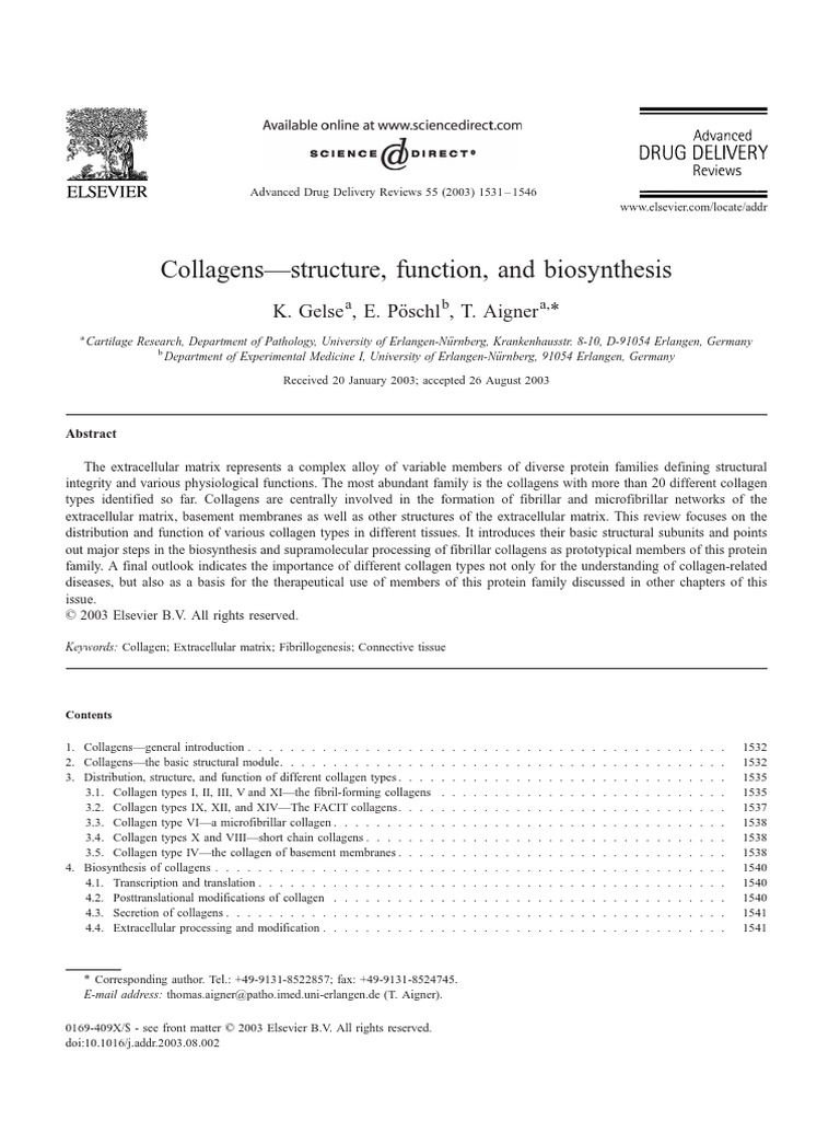 Collagens-Structure, Function, and Biosynthesis PDF | PDF | Collagen | Tendon