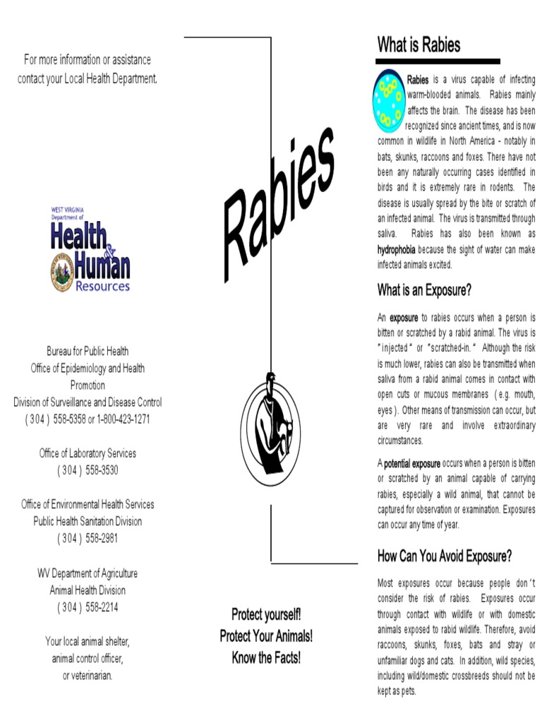 What Is Rabies: For More Information or Assistance Contact Your Local ...