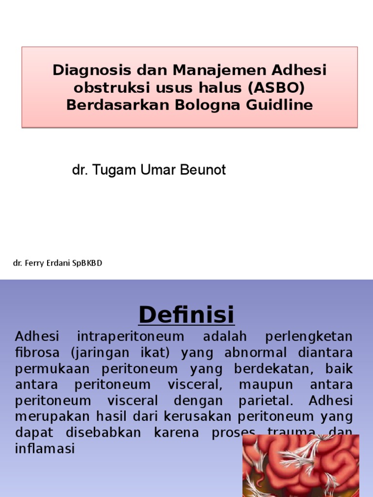 Manajemen Adhesi Obstruksi Usus Halus Berdasarkan Bologna Guidline | PDF