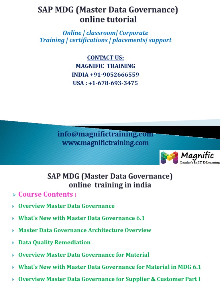SAP MDG (Master Data Governance) Online Tutorial | PDF | Business ...