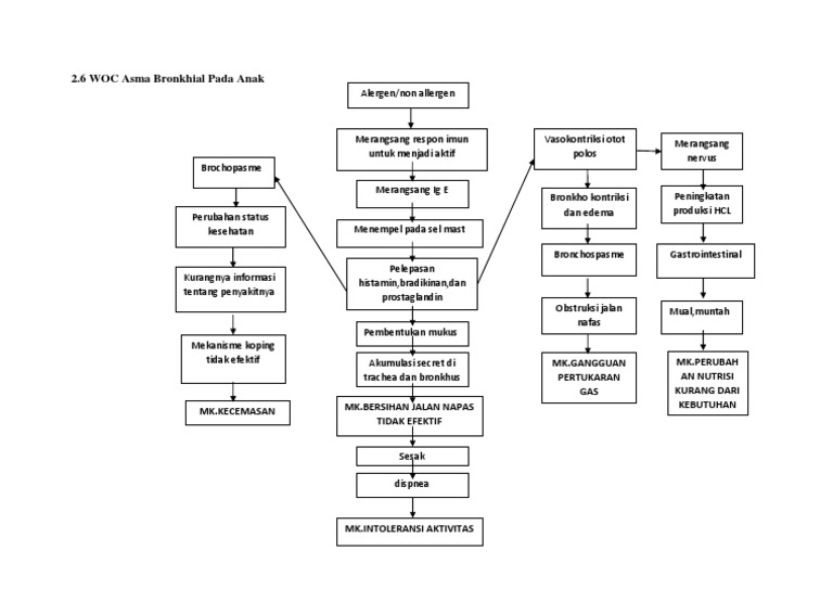 Pathway Asma Bronkhial Pada Anak | PDF