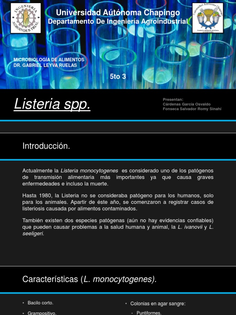 Listeria Monocytogenes: Patógeno Alimentario | PDF | Microbiología ...