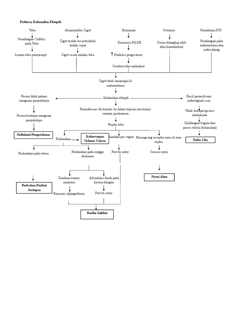 FIX Pathway KET | PDF