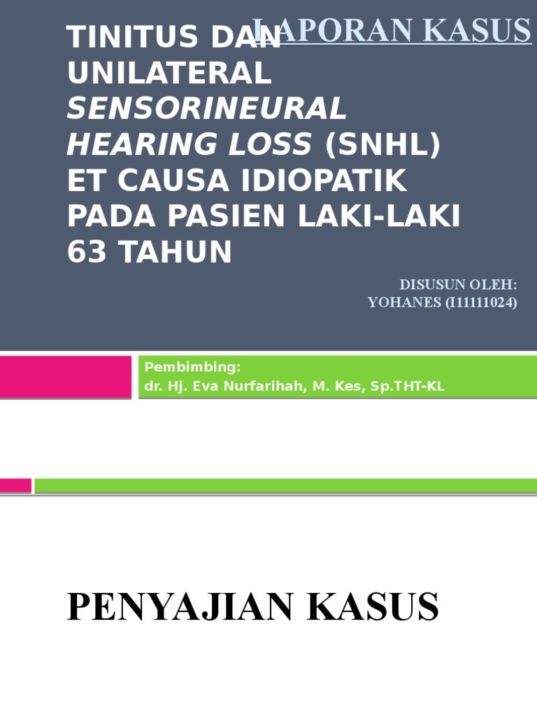 Lapkas Tinnitus N SNHL Yohanes | PDF