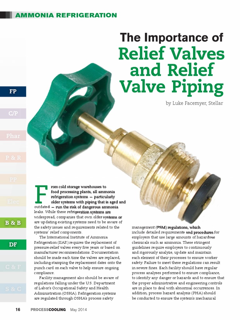 The Importance of Relief Valves and Relief Valve Piping | PDF ...