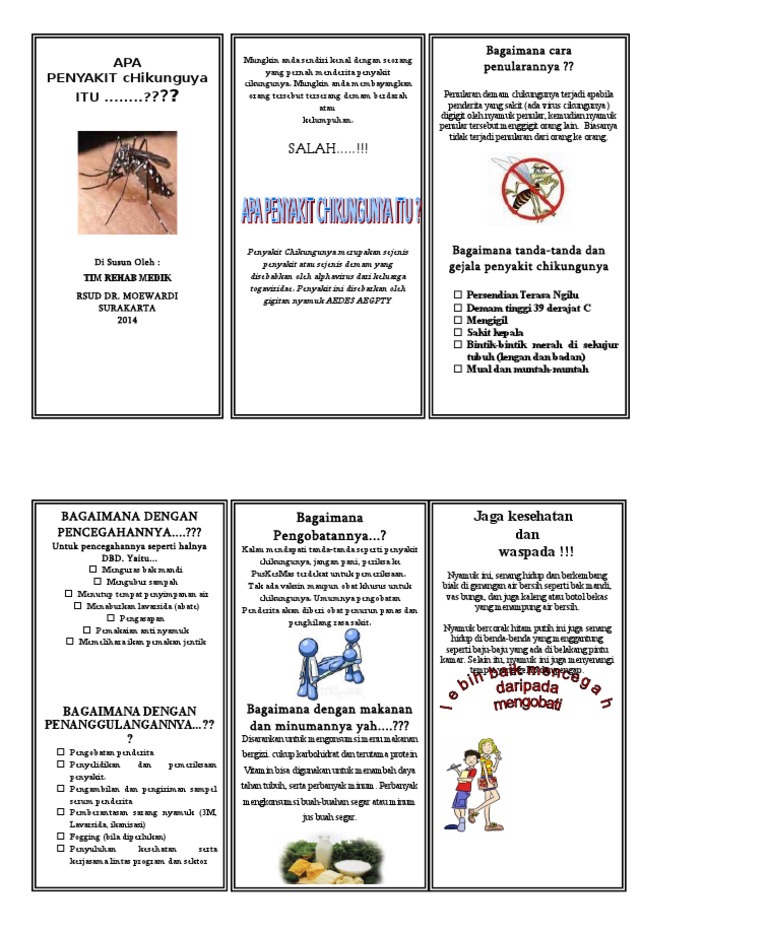 Leaflet Chikungunya | PDF
