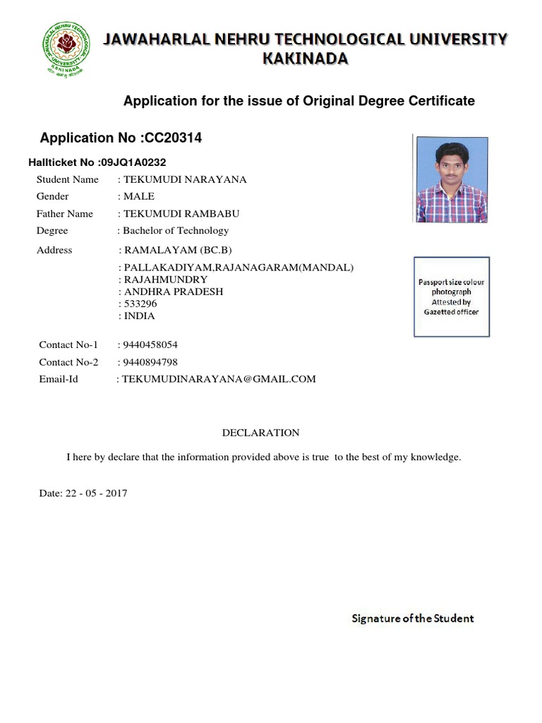 Original Degree Certificate Application | PDF