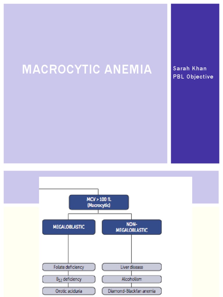 Macrocytic Anemia PBL - Sarah | PDF