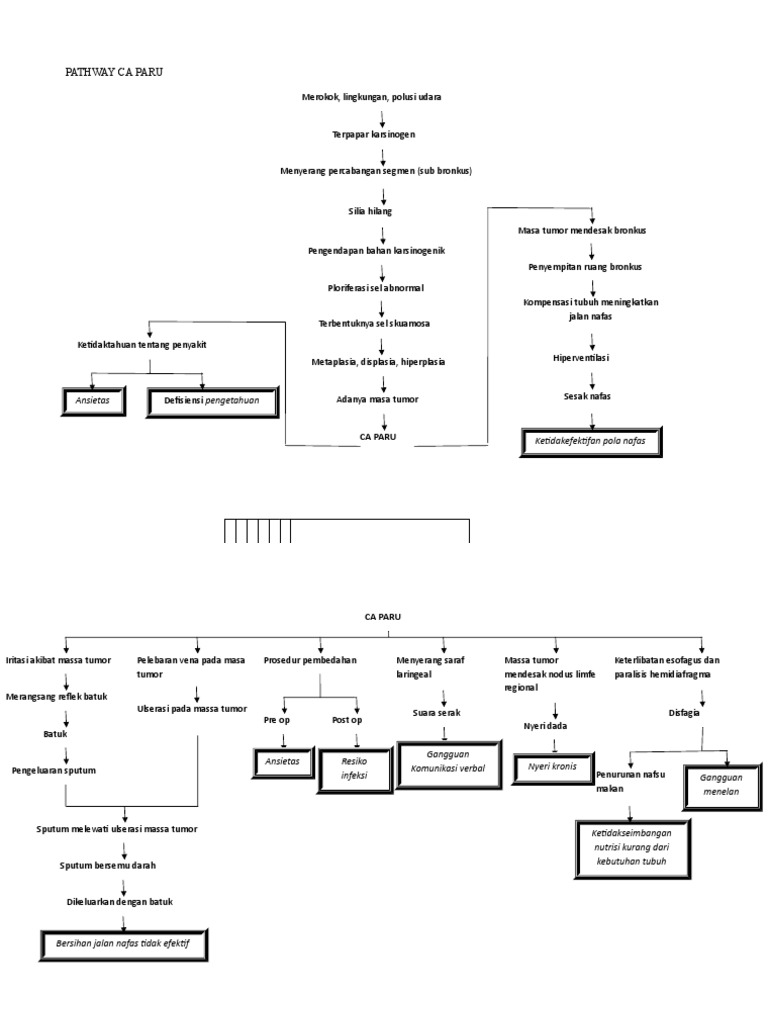 Pathway CA Paru | PDF
