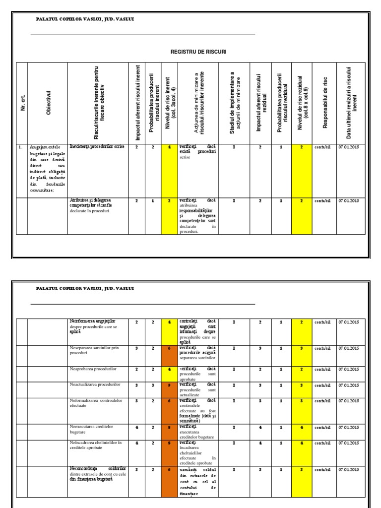 10.Registru de Riscuri
