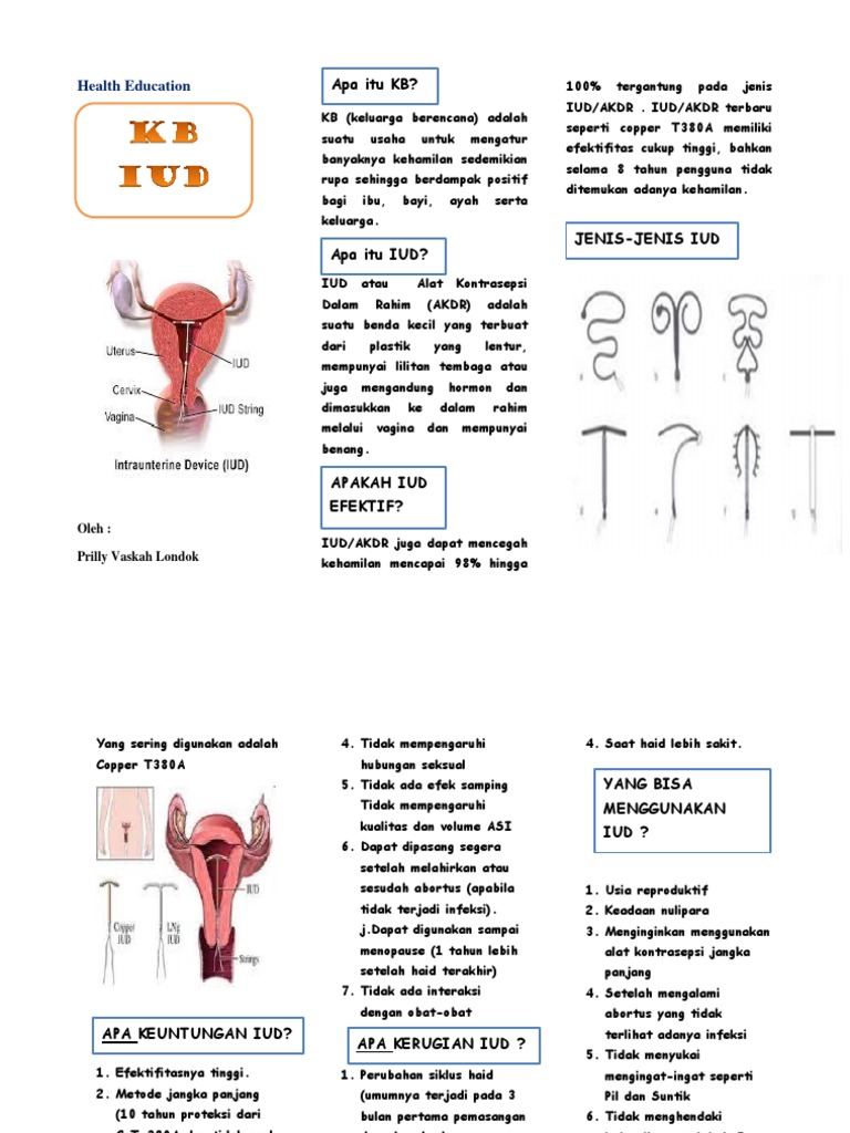 Leaflet Iud | PDF
