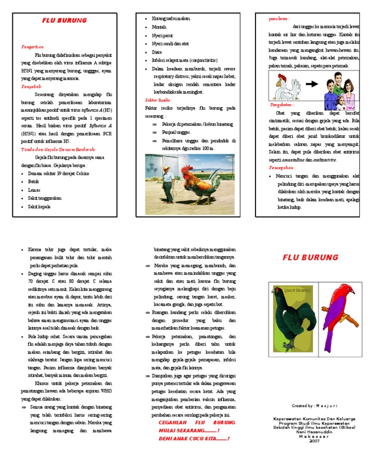 Leaflet Flu Burung | PDF
