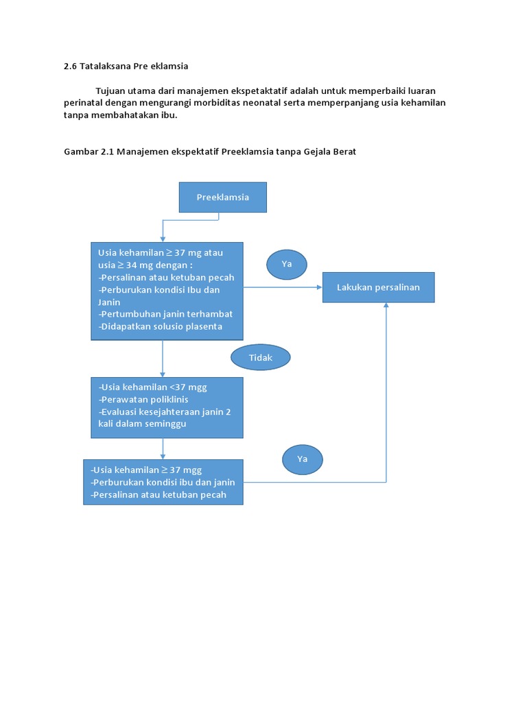 Tatalaksana PEB | PDF