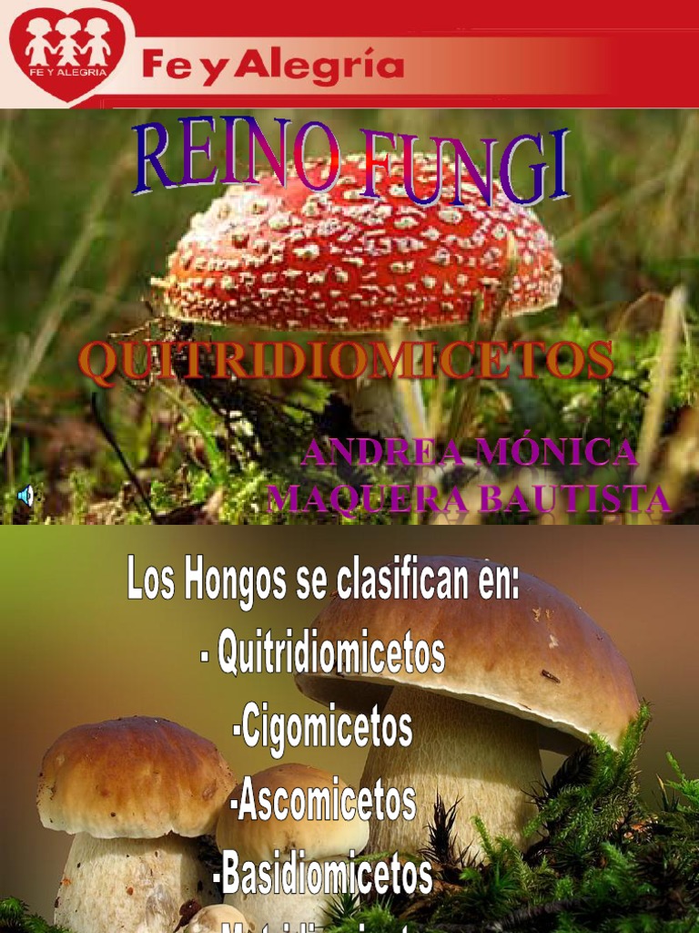 QUITRIDIOMICETOS | PDF