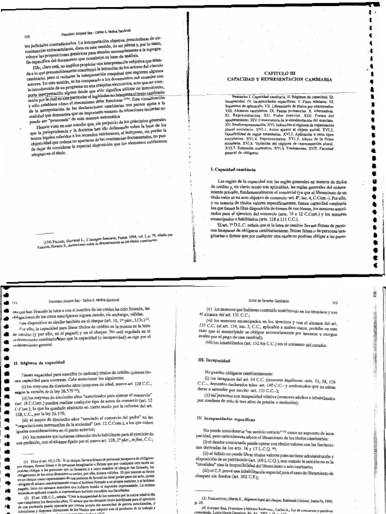 Capitulo III. Junyent Bas y Molina. Derecho Cambiario | PDF | Cheque ...
