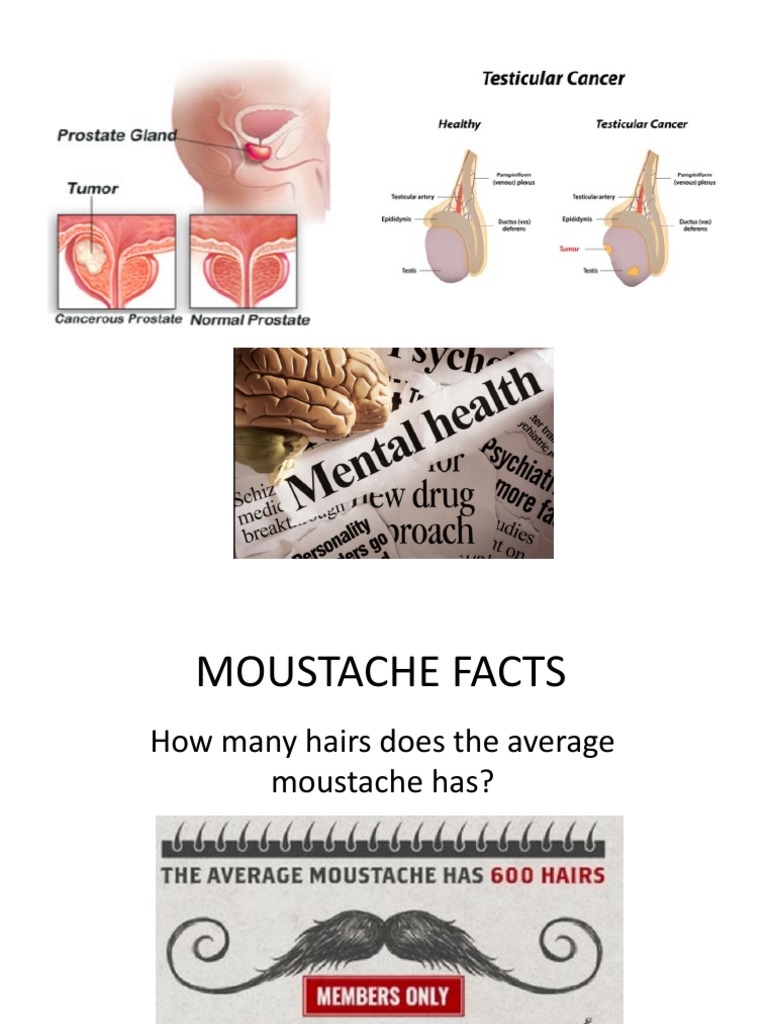 Movember | PDF | Lifestyle