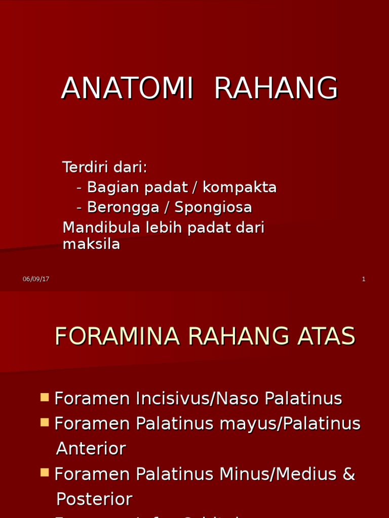 Anatomi Rahang | PDF