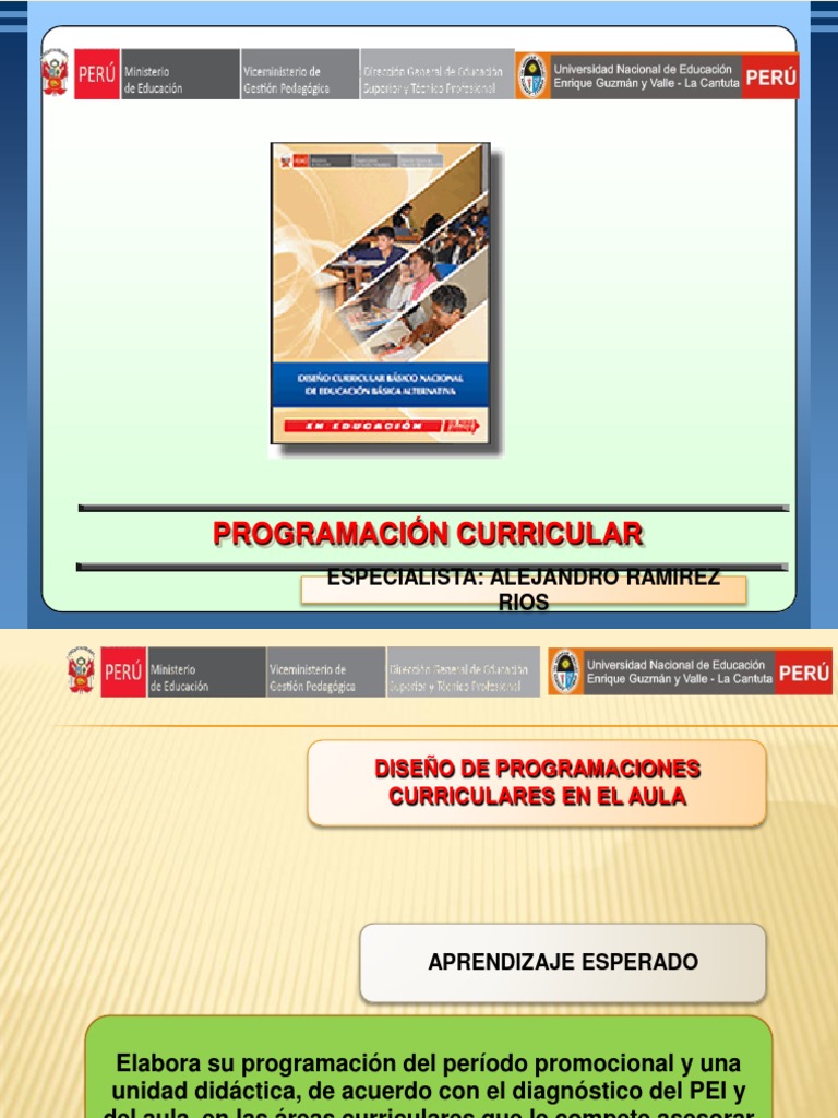 Programación Curricular en Eba | PDF | Aprendizaje | Planificación