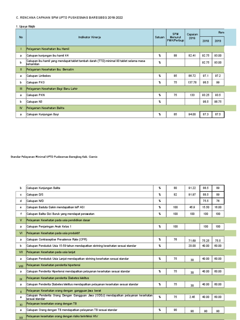 Tabel SPM Sesuai PMK & Perbup | PDF